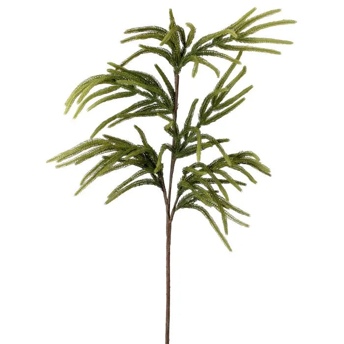 36" Real Touch Norfolk Pine Spray - Artificial Pine Spray for Holiday ...